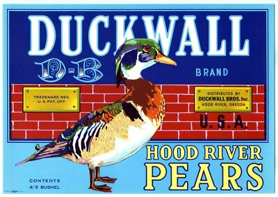 DUCKWALL w/MALLARD DUCK~ORIGINAL 1930s HOOD RIVER OREGON PEAR FRUIT ...