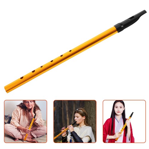 Flûte À Bec Débutant Instrument De Musique Kazoos Sifflet Irlandais | eBay