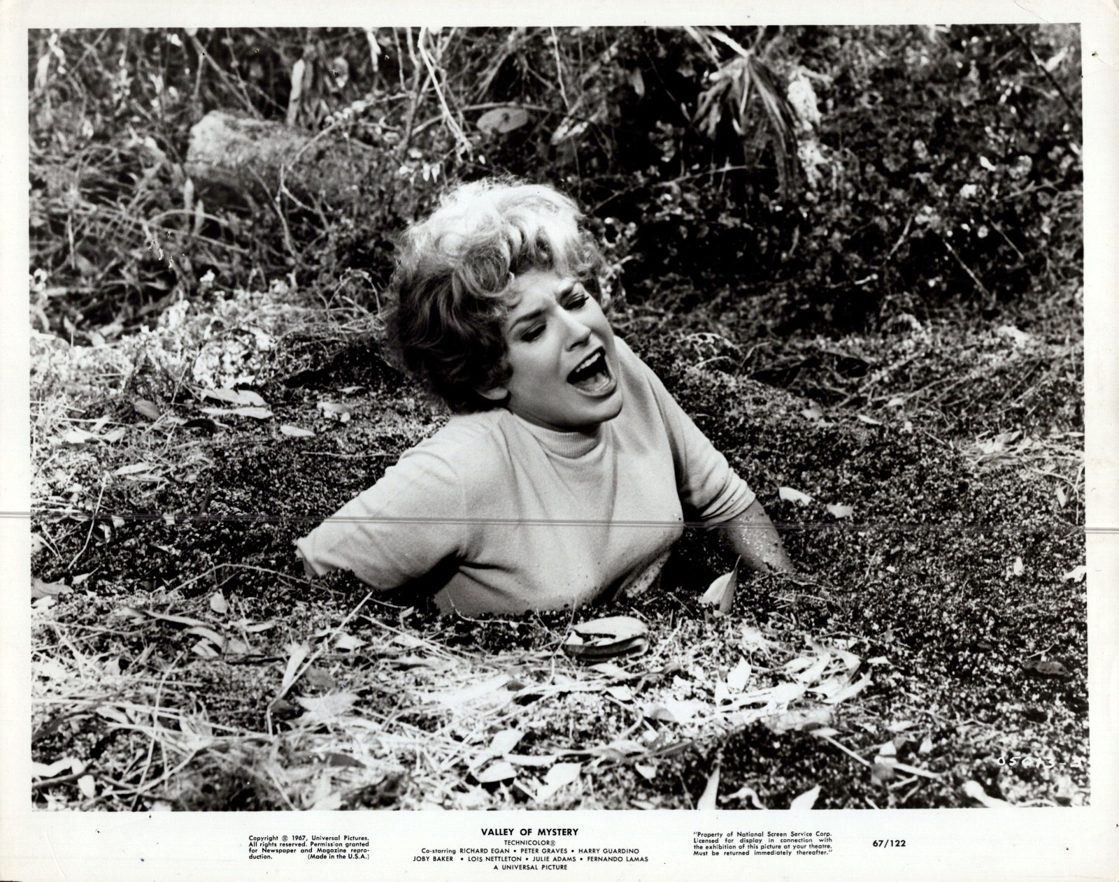 Lois Nettleton in Valley of Mystery (1967) Vintage Hollywood Photo K ...
