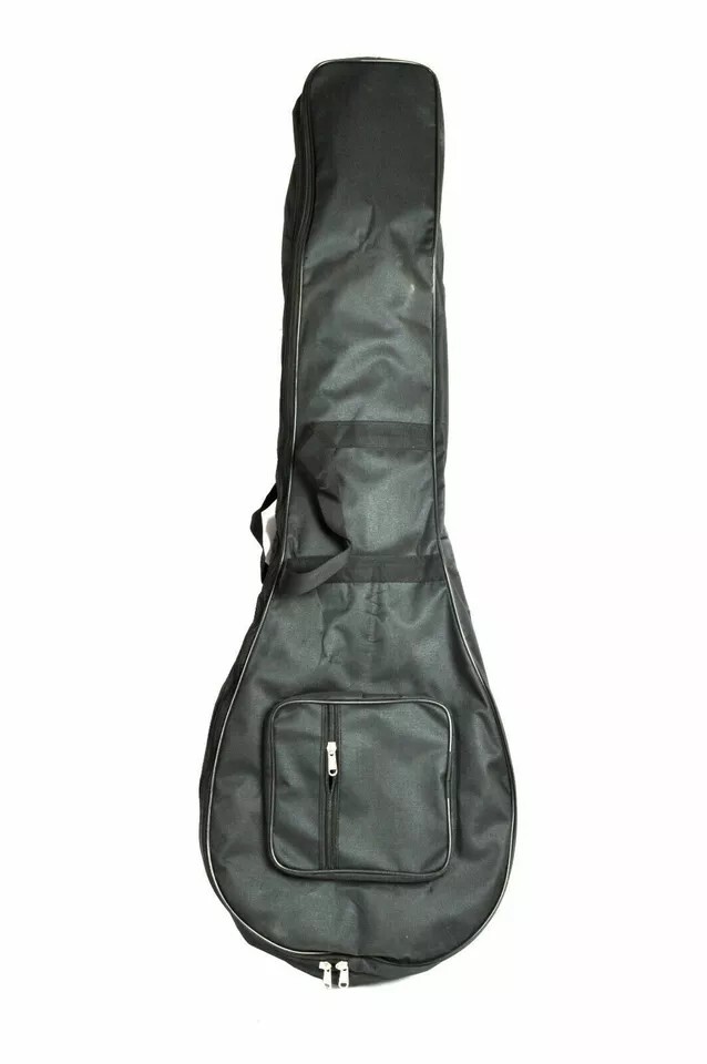 Handcrafted Indian Afghani Rabab for Folk and Classic Musical ...