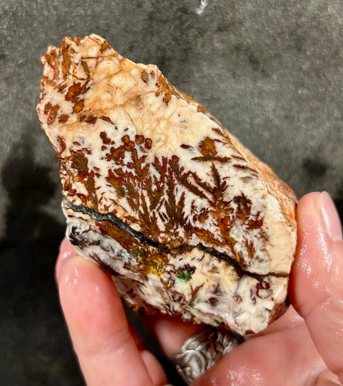 Dendritic Silver Ore Faced Rough *1.00 pound - Morocco! | eBay