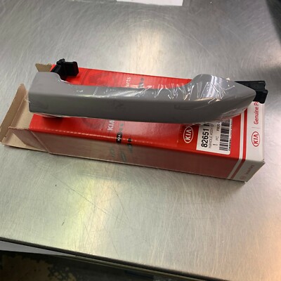 NEW OEM KIA 2019-2020 FORTE FRONT OUTER DOOR HANDLE-DRIVER SIDE | eBay