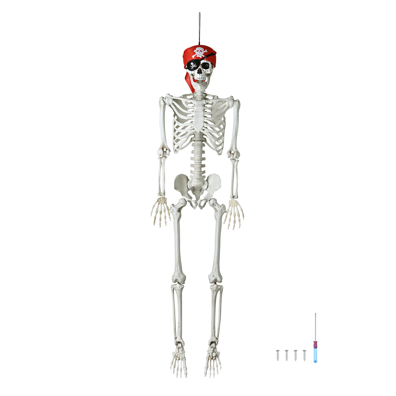 5.4' Full Body Skeleton Prop Poseable Joints Halloween Decor Human ...