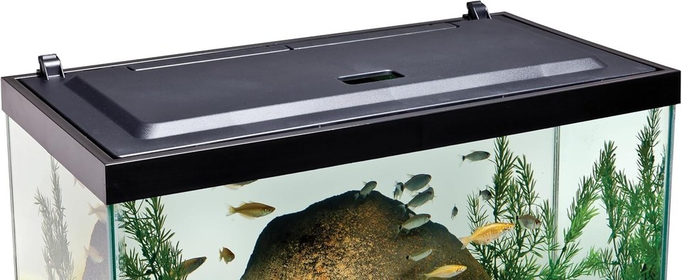 Tetra LED Hood 24 Inches By 12 Inches, Low-Profile Aquarium Hood With ...