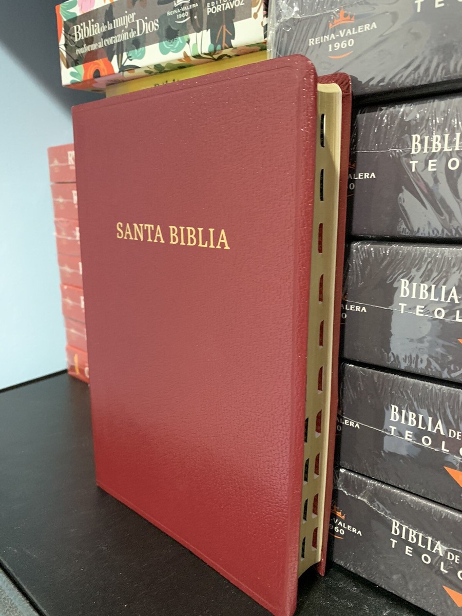 Que Son Los Ijares En La Biblia Reina Valera 1960 - Infoupdate.org