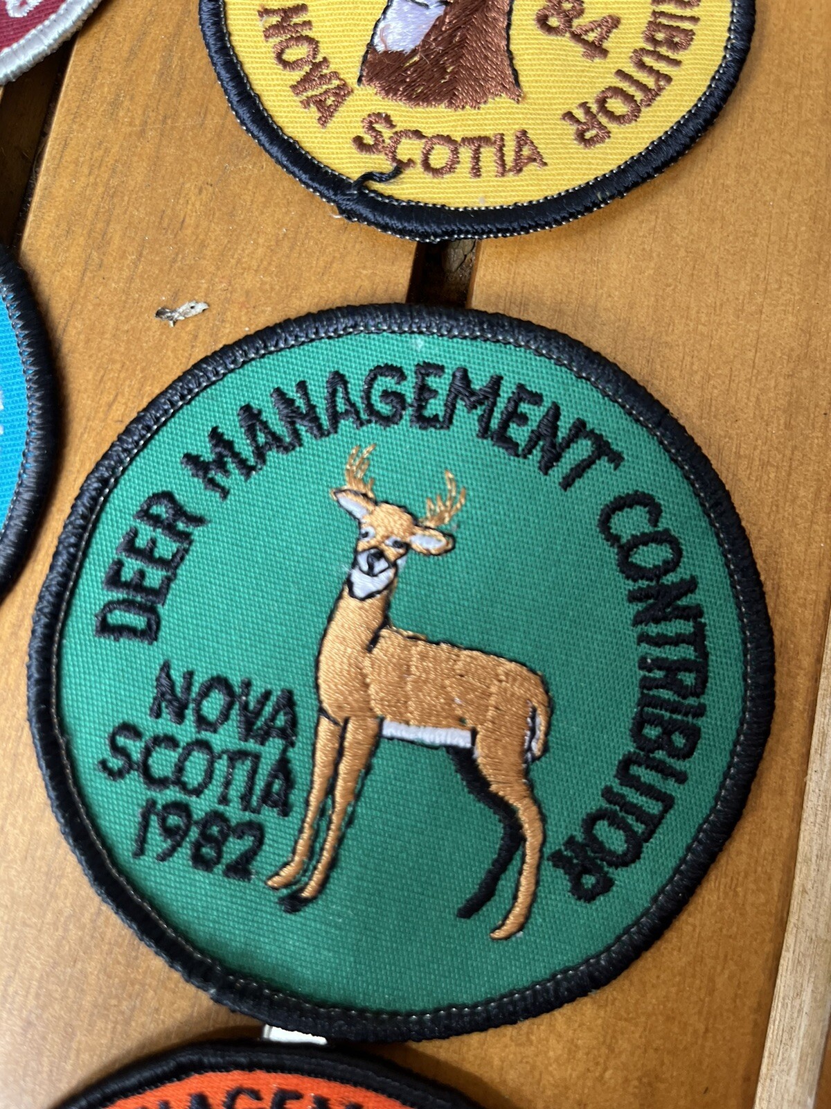 6 vintage Round Patches Deer Management wildlife 3” - Gem