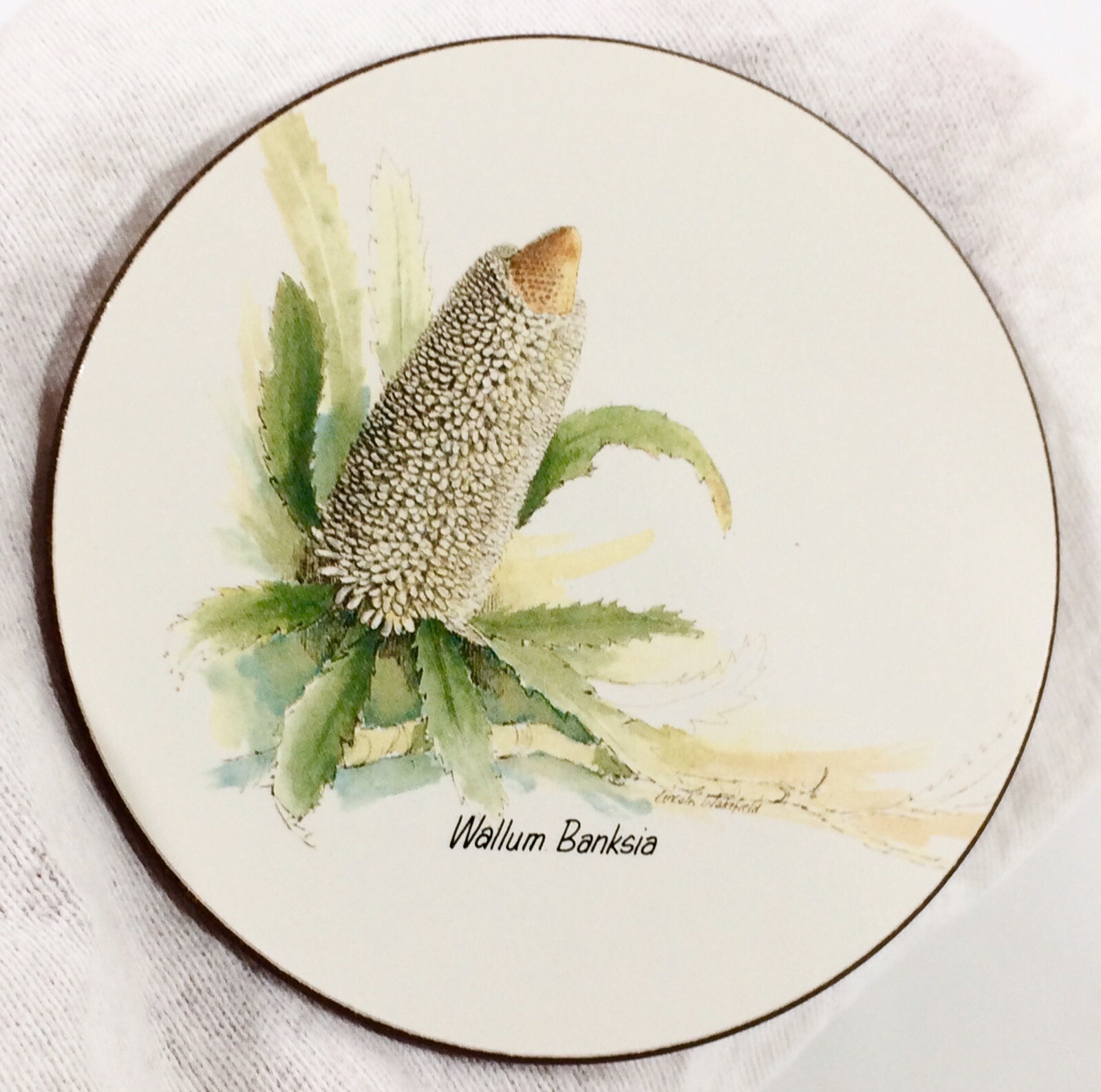 Vtg Jason Round Cork Coasters Australian Wild Flowers Set of 6 New ...