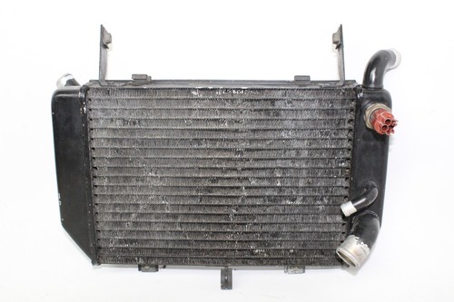 1998-2003 Suzuki Tl1000r Engine Radiator Motor Cooler Cooling Radiater ...