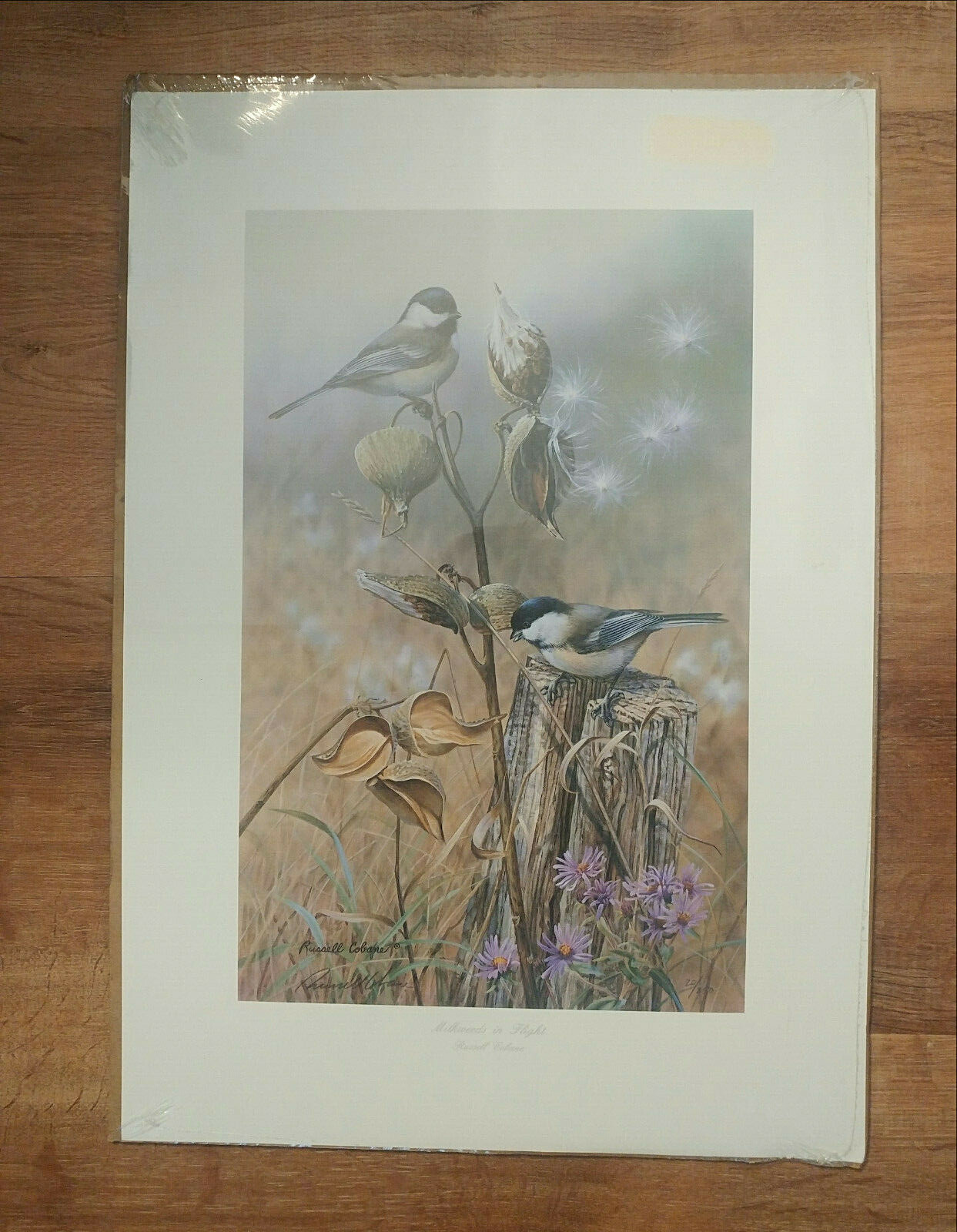 Russell Cobane Milkweeds In Flight Art Print Limited # 20 of 250 Signed ...