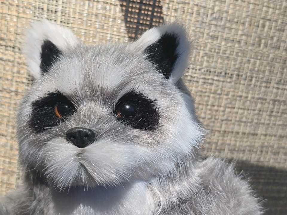 Dancing Plush Meeko Raccoon 12" 3 AA Batteries Wired Gray White Black ...