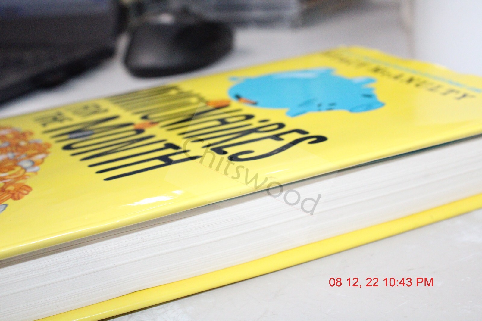 Millionaires for the Month Hardcover 9780593175255| eBay