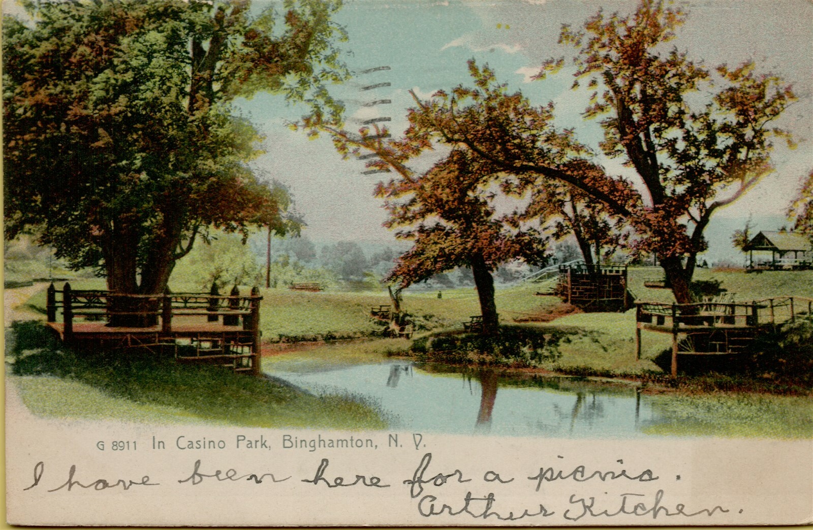 1907 Landscape View in Casino Park Binghamton NY Postcard B47 | eBay