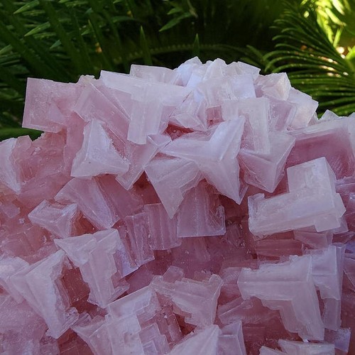 OUTSTANDING LARGE WORLD CLASS PINK HALITE CRYSTAL CLUSTER | eBay