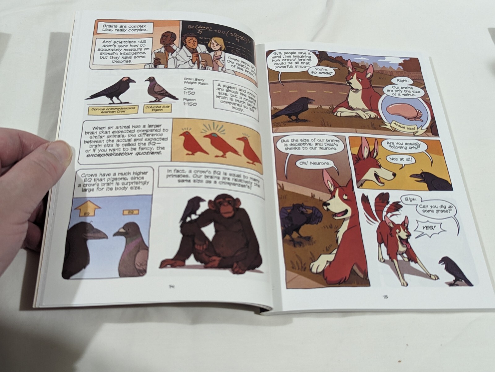 Science Comics: Crows: Genius Birds by Kyla Vanderklugt (Paperback ...