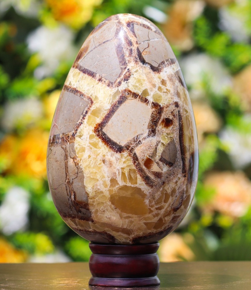 180MM Yellow Septarian Egg Septaria Septeyre Chakra Crystal Healing ...