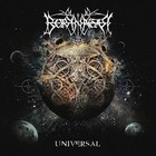 Borknagar - Universal (Re-issue 2023) [VINYL] | eBay Australia