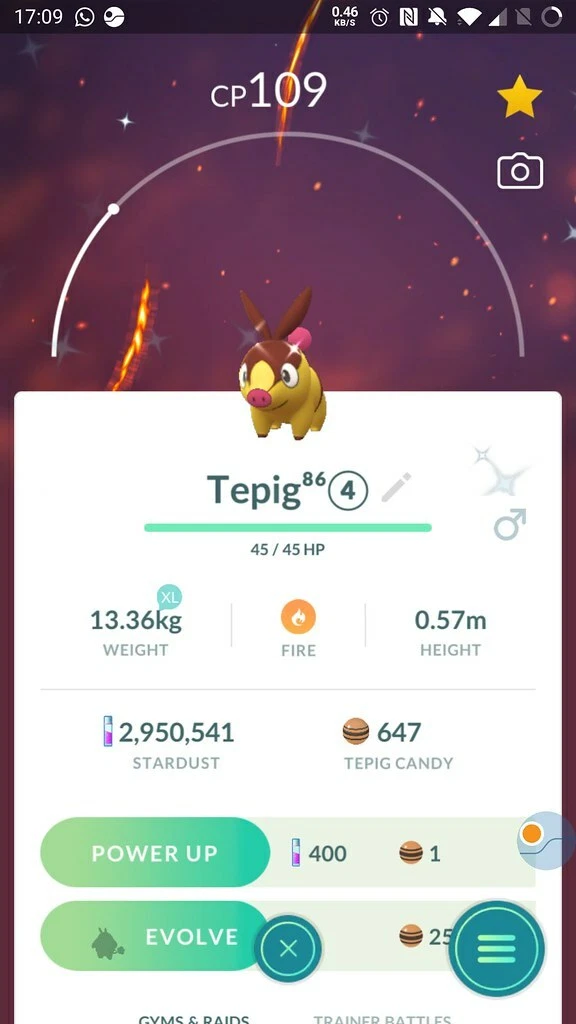Pokemon Shiny Tepig