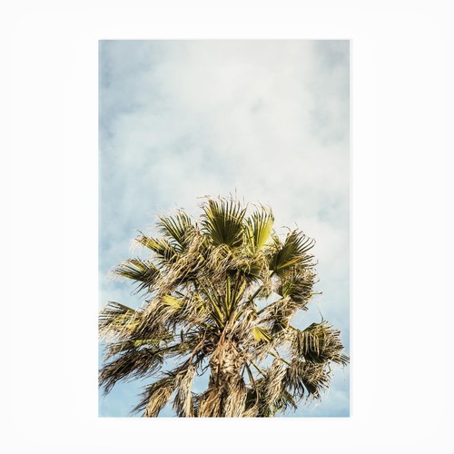 Outdoor Canvas Art - Shot by Clint 'Breezy' Wall Art for Outdoor Spaces ...