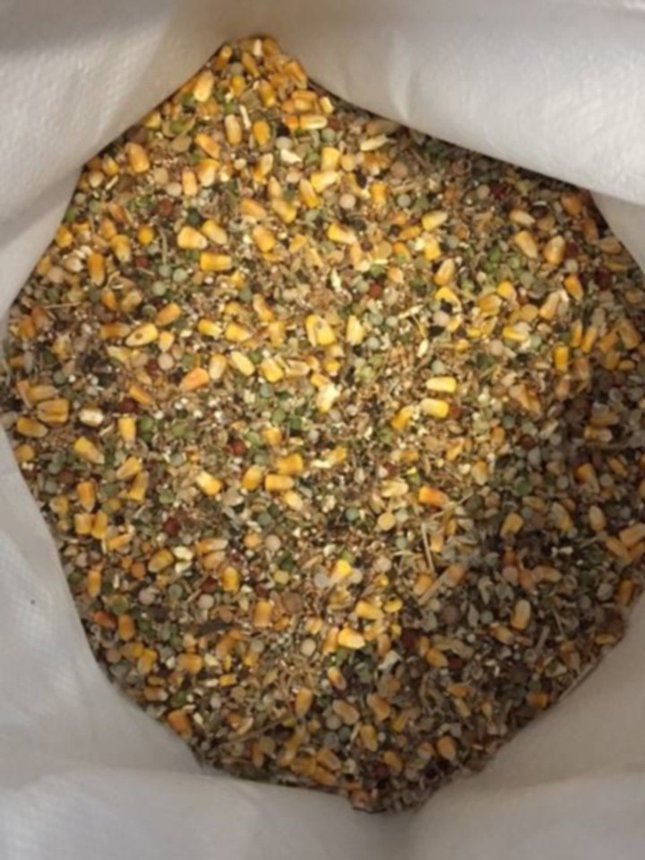 Pp Partimix 20kg (uncooked) Carp Fishing Particle Bait | eBay UK