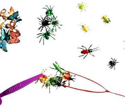 18 x Insects, 8 x Spiders and 2 Tongs Sorting Activity for Kids Science ...