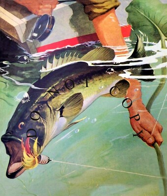 Antique Reproduction Photograph Print showing Heddon Spook Fly Rod Lure ...