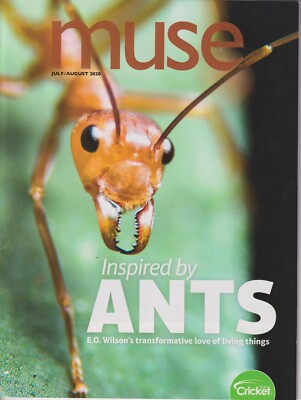 Cricket Muse July August 2020 Inspired By Ants (Magazine:Juvenile ages ...