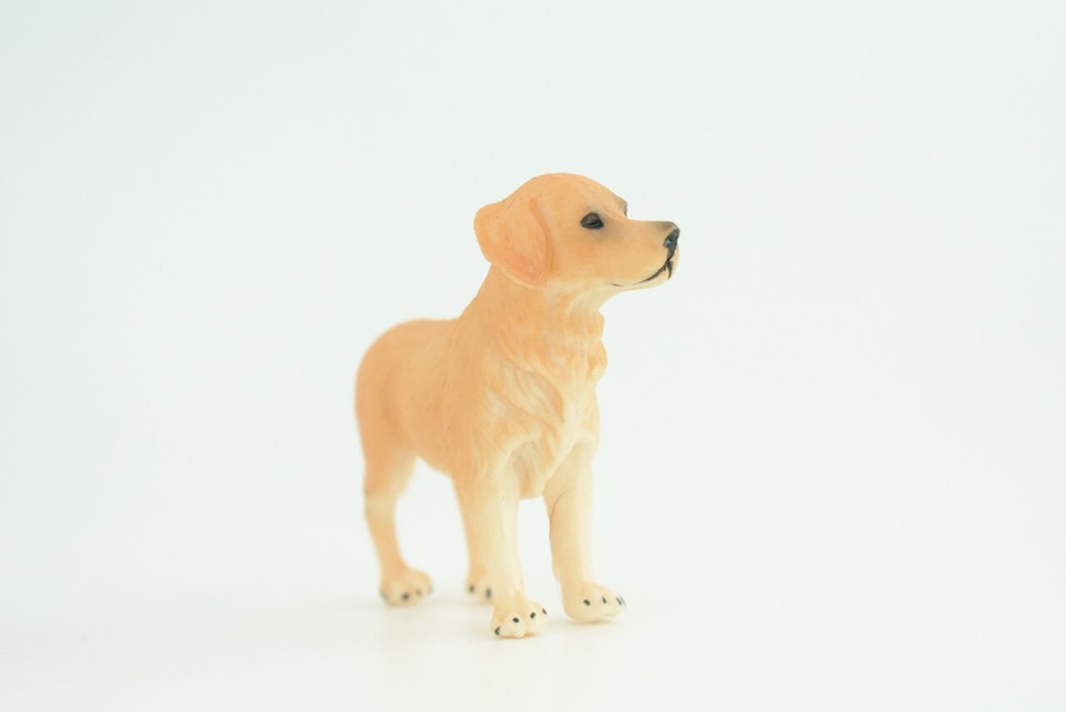 Golden Retriever Toy Dog, Realistic Hand Painted Rubber Model 3.5 ...
