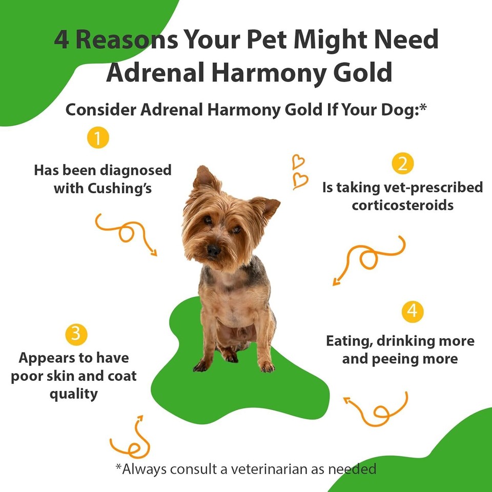 Pet Wellbeing Adrenal Harmony Gold for Dogs 2 oz. | eBay