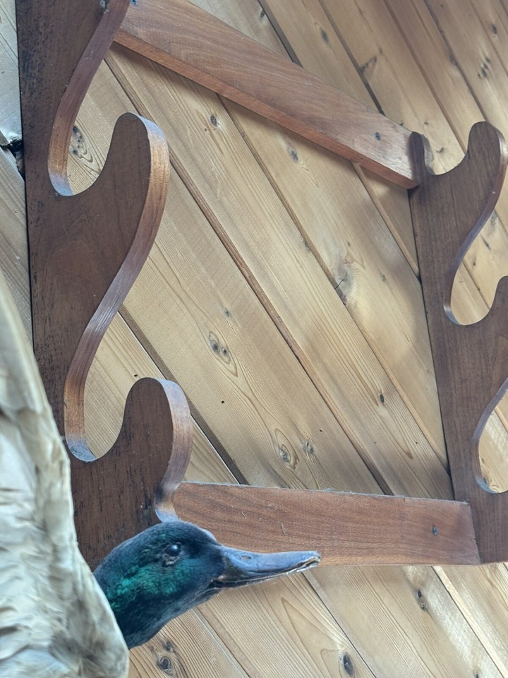 Homemade Wooden Wall-Mount Gun Rack | eBay