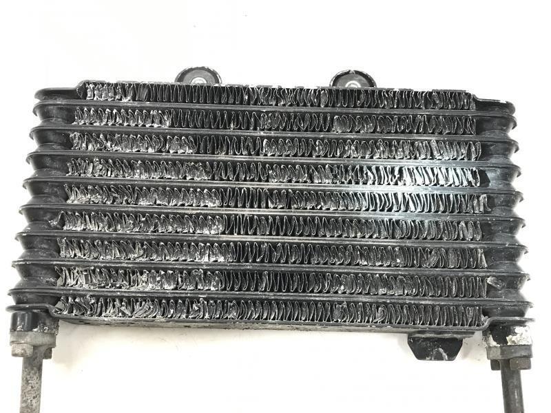 Radiator Oil SUZUKI GSF 600 1995-1999 Bandit | eBay