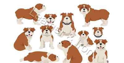 New English Bulldog Brown and White Dog Vinyl Checkbook Cover | eBay