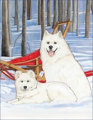 Samoyed Birthday Card 5 x 7 with Envelope | eBay