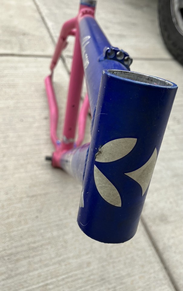 klein pulse frame medium | eBay