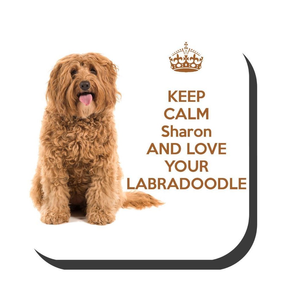 Personalised Cream LABRADOODLE Coaster 'KEEP CALM NAME AND LOVE YOUR ...