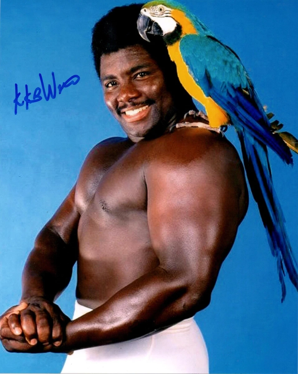 KOKO B. WARE | Blog di wrestlinglegend