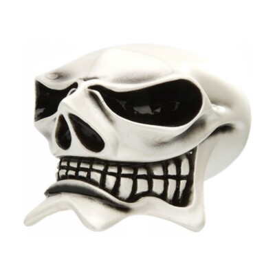 MCPHAIL - Skull - Van Chase custom shift knob -custom, hand-painted | eBay
