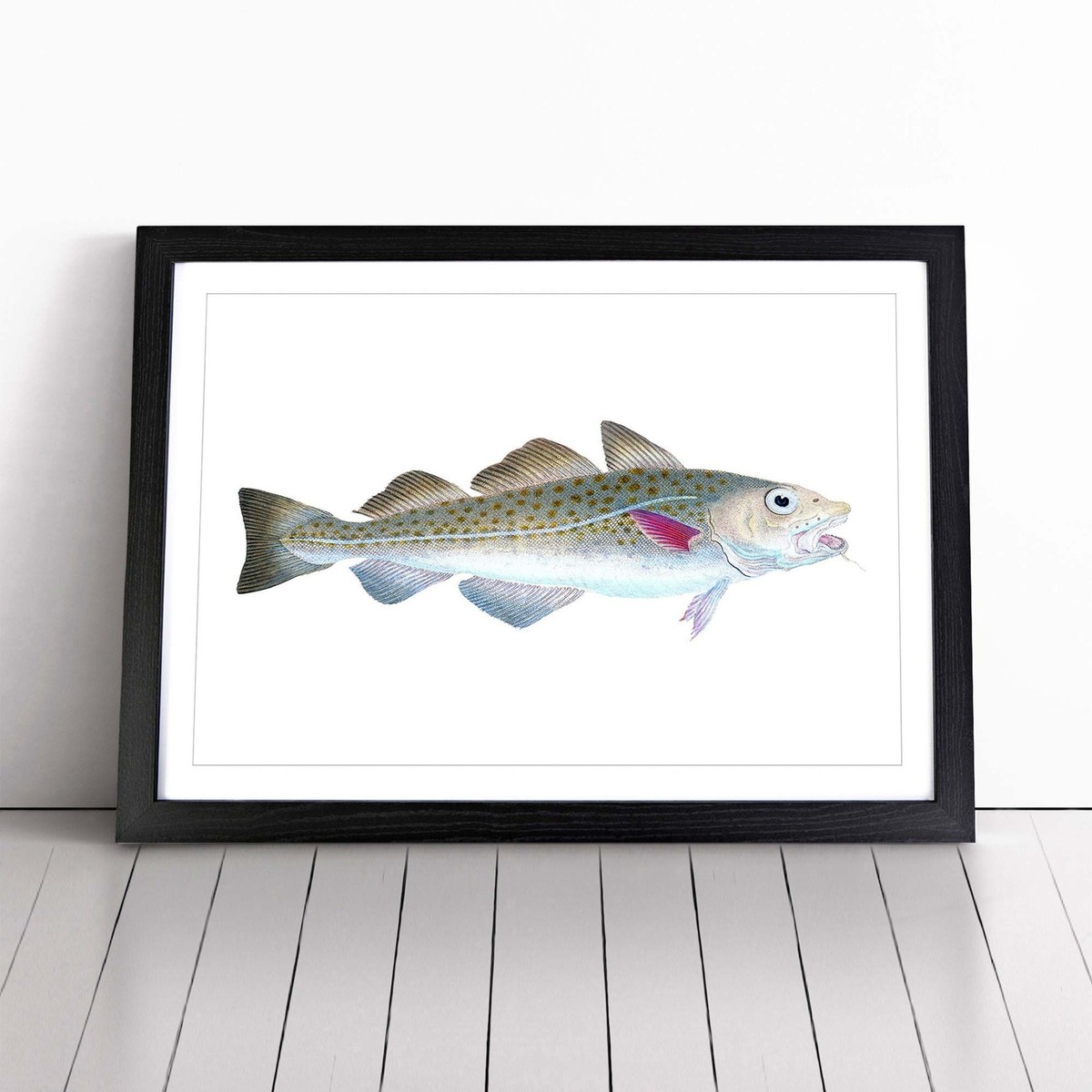 Atlantic Cod Drawing Atlantic Cod Free Stock Vectors