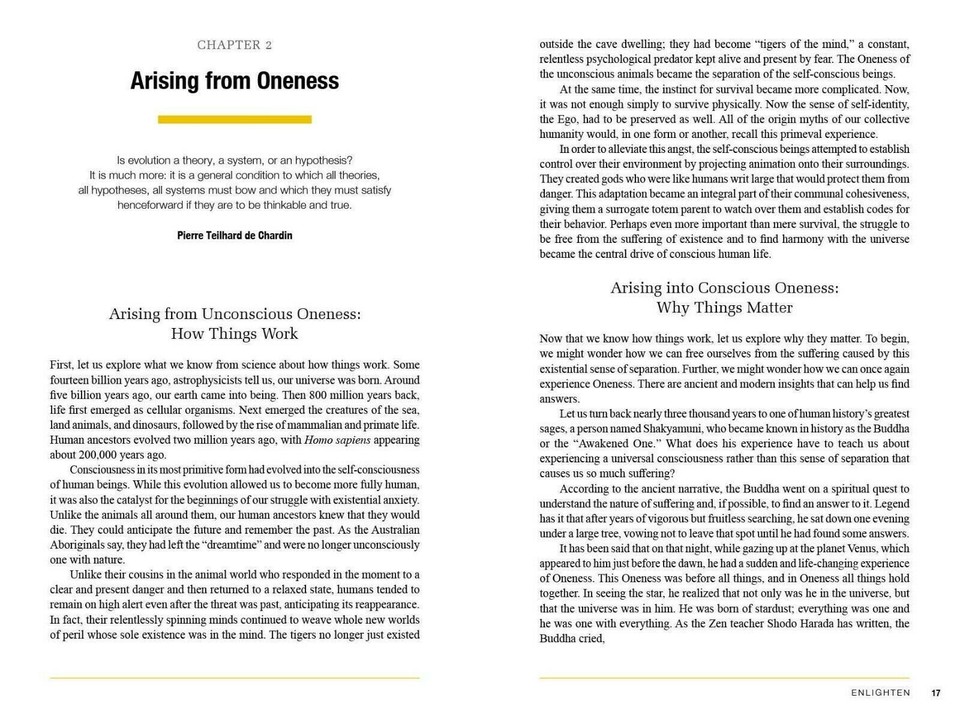 Les Trois Principes De Einsseins Livre Schiffer Publication Anthony ...