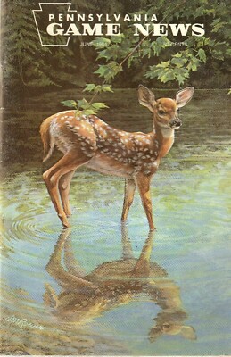 Pennsylvania Game News June 1984 Whitetail Fawn Cover Painting by J M ...