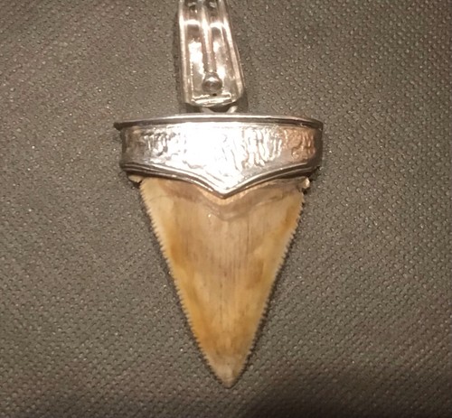 Custom Made Hand Fabricated Great White Fossil Shark Tooth,,,Movable ...
