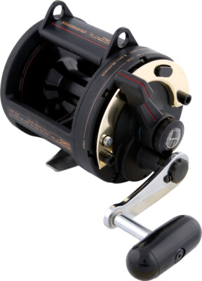 Shimano TLD 25 Fishing Reel : TLD25 | eBay Australia