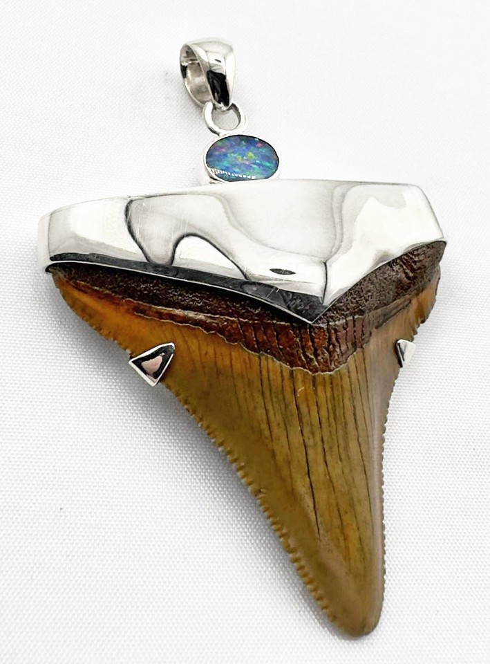 Meg Shark Tooth Pendant – Megalodon Tooth with 925 Silver Cap ...