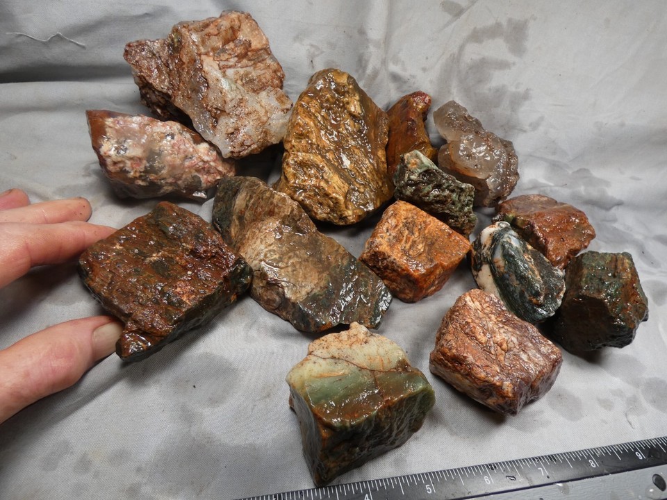 oregon hampton butte petrified wood 7 lbs | eBay