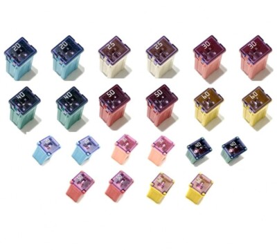 Multi Pack - 22 Fuses - 2 Each J Case and Mini J Case - Cars Pick Up ...