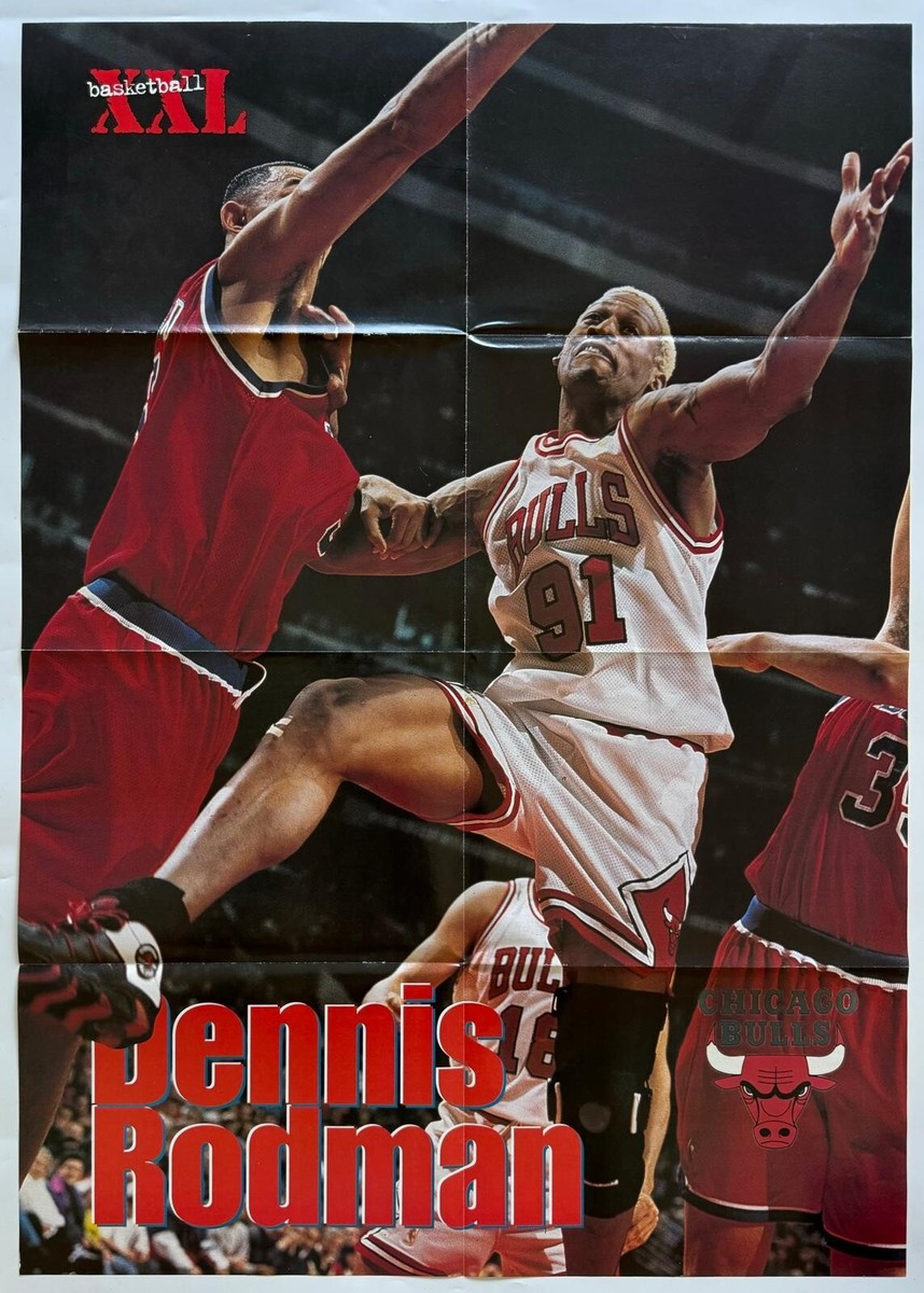 Dennis Rodman Poster