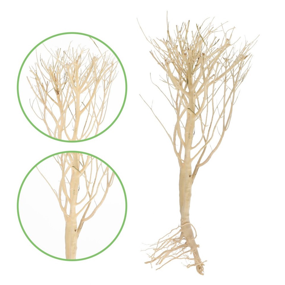 Fish Tank Landscape Tree Dead Ornament for Aquarium Underwater Decor ...