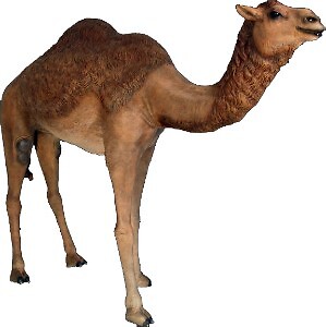 75" Life Size Tan Female Camel Resin Animal Statue Nativity Prop Zoo ...