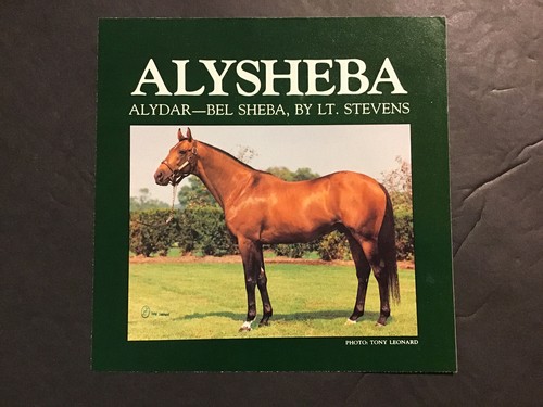 ALYSHEBA Photo Horse Racing 1987 KENTUCKY DERBY | eBay