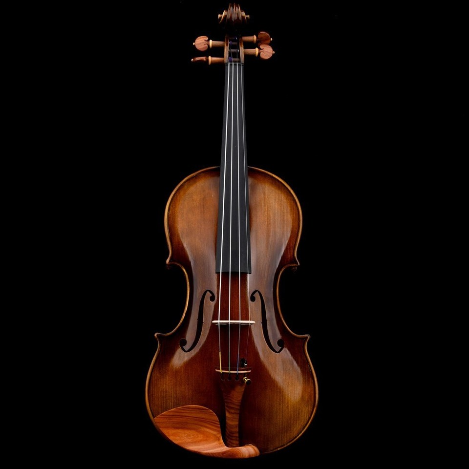 Professional T31+ Master Guarnieri 1743 Copy Violin 4/4 Best European ...