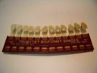 Dental Lab Equipment - Trubyte Bioform